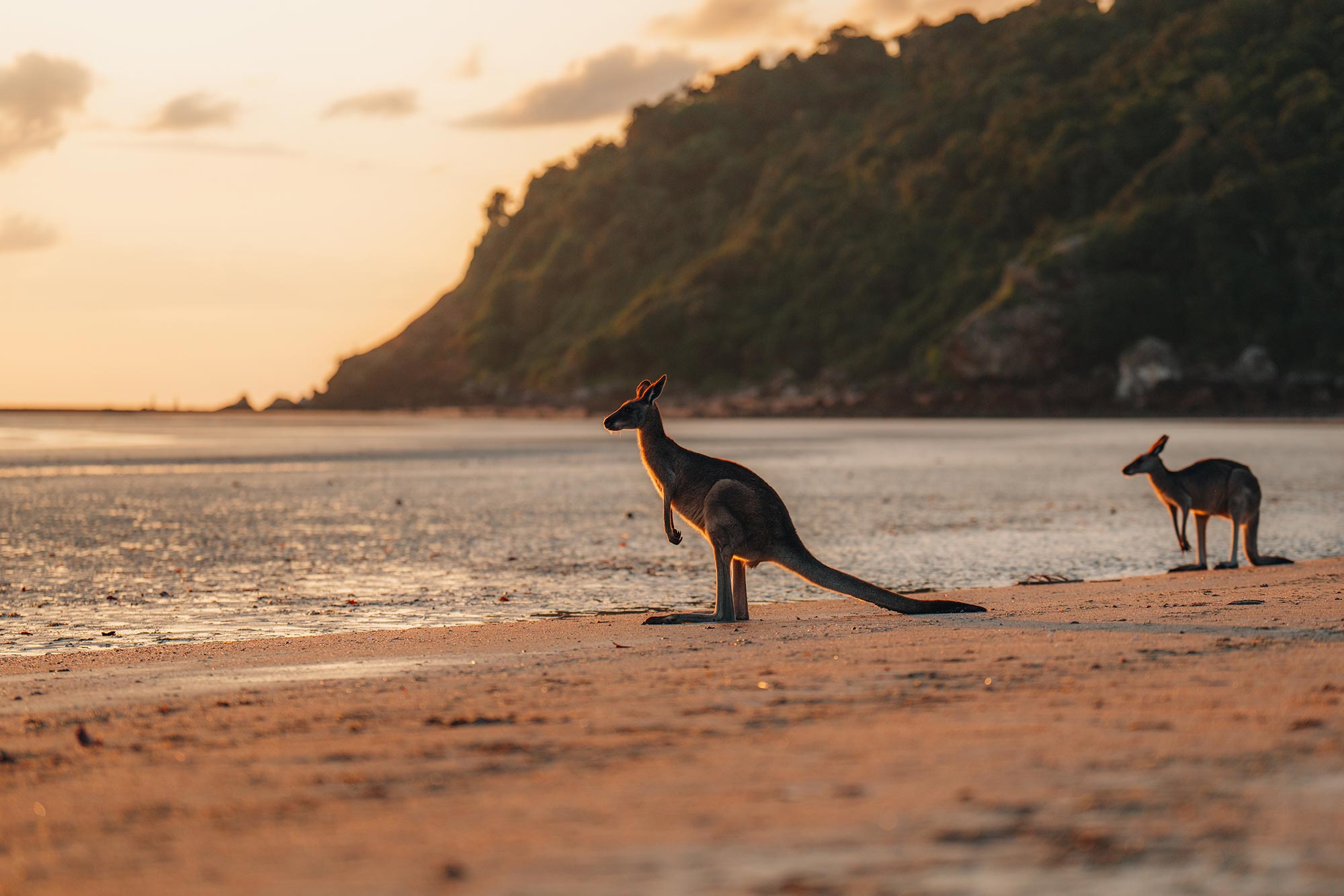 Top 5 Hidden Gems to Visit on Australia’s East Coast