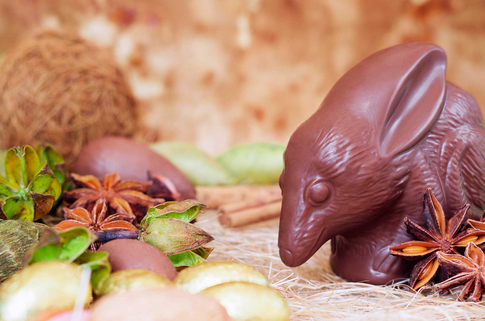 Meet the Easter Bilby: Australia’s Easter icon